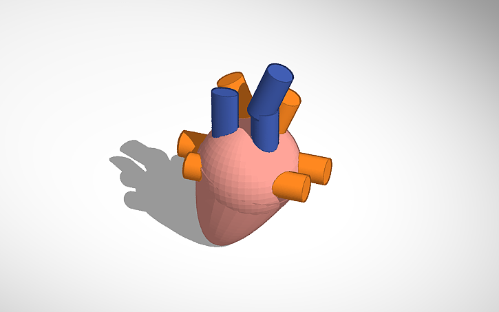 3D design human heart - Tinkercad
