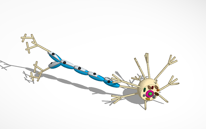 3D design Nerve Cell - Tinkercad