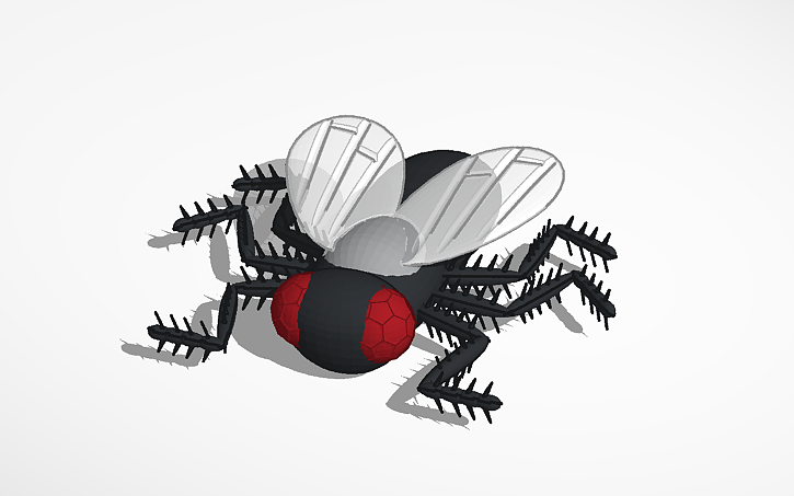 3D design Fly - Tinkercad
