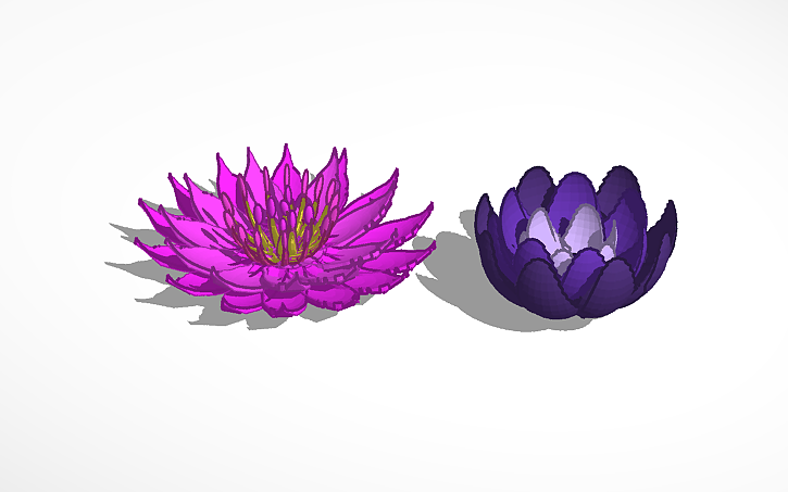 3D design flowers - Tinkercad