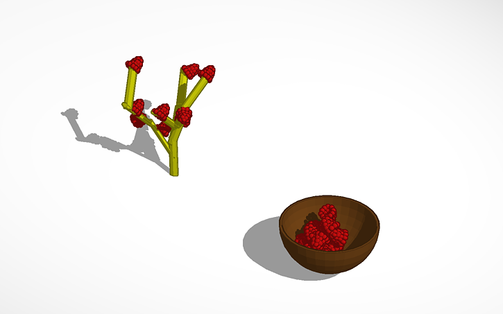 3D design Raspberry Bush and Bowl - Tinkercad