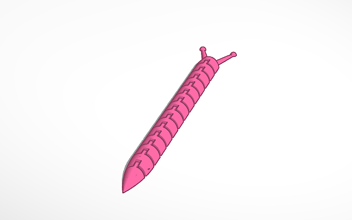 3D design slug - Tinkercad