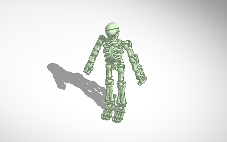 3D design skeleton - Tinkercad