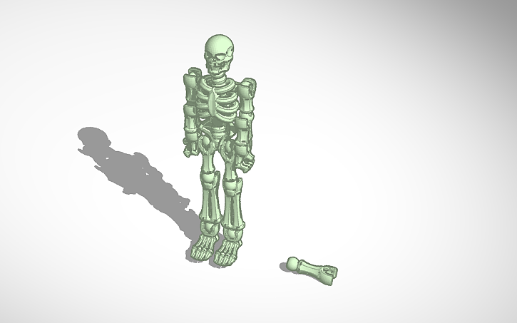 3D design Skeleton - Tinkercad