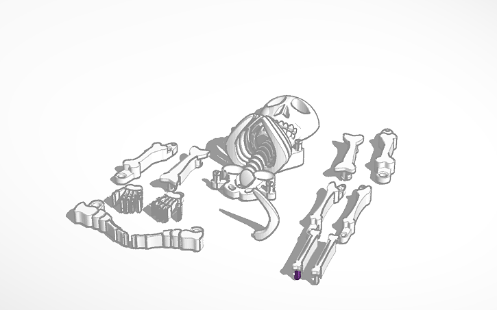 3D design Body Parts - Tinkercad