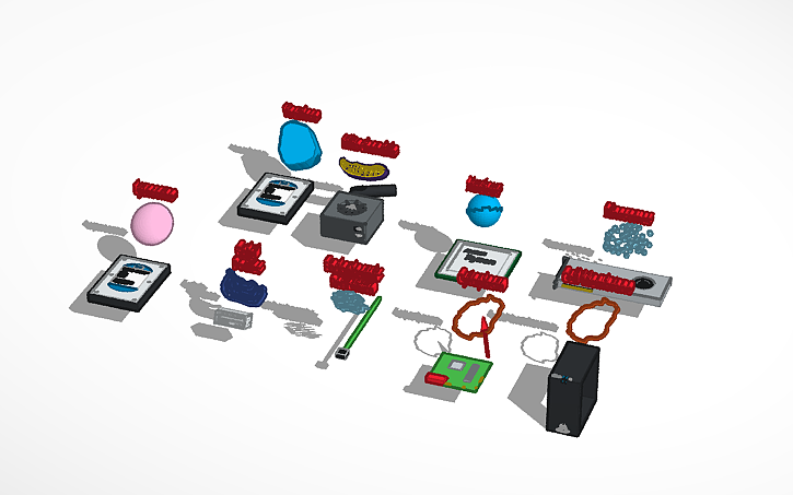 3D design Copy of cell project science | Tinkercad