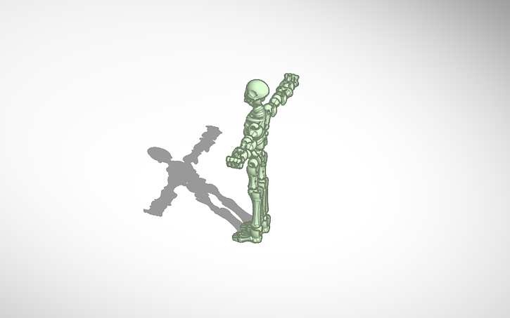 3D design skeleton - Tinkercad