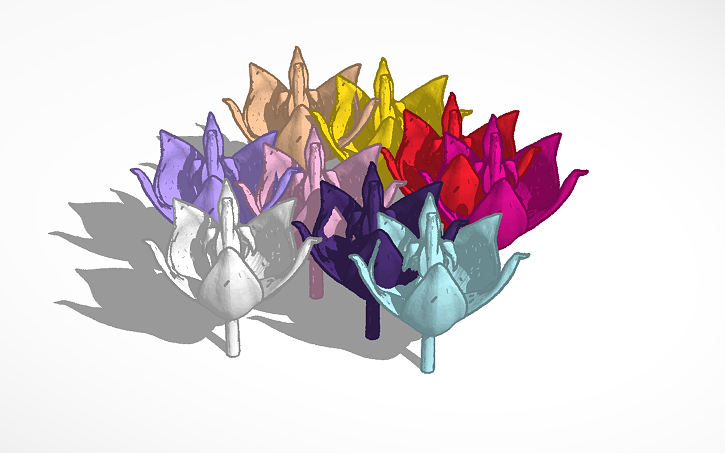 3D design Flowers - Tinkercad