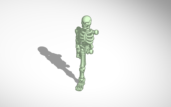 3D design Bodacious Jofo-Tumelo - Tinkercad