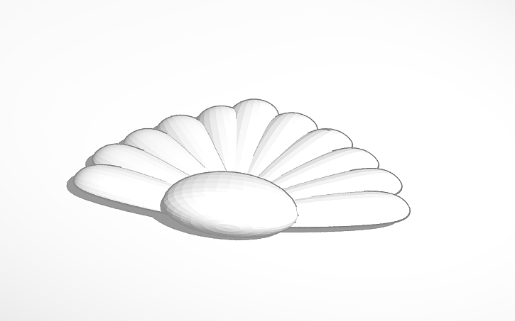 3D design CLAM SHELL - Tinkercad