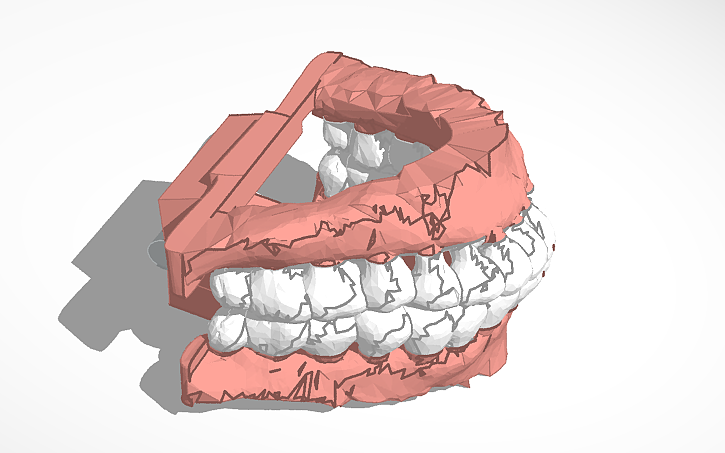 3D design teeth - Tinkercad