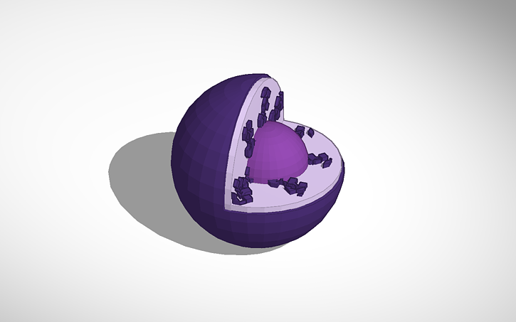 3D design Nucleus/Nucleolus | Tinkercad