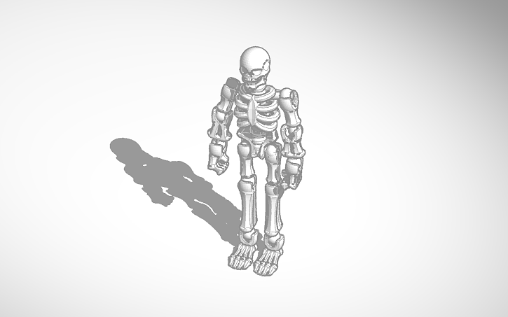 3D design Skeleton - Tinkercad