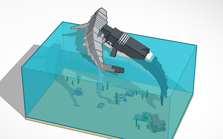 3D design El destino del tiburón - Tinkercad