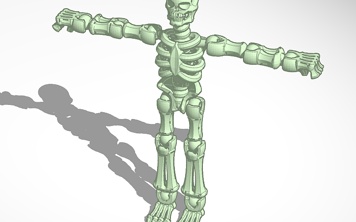 3D design Skeleton - Tinkercad