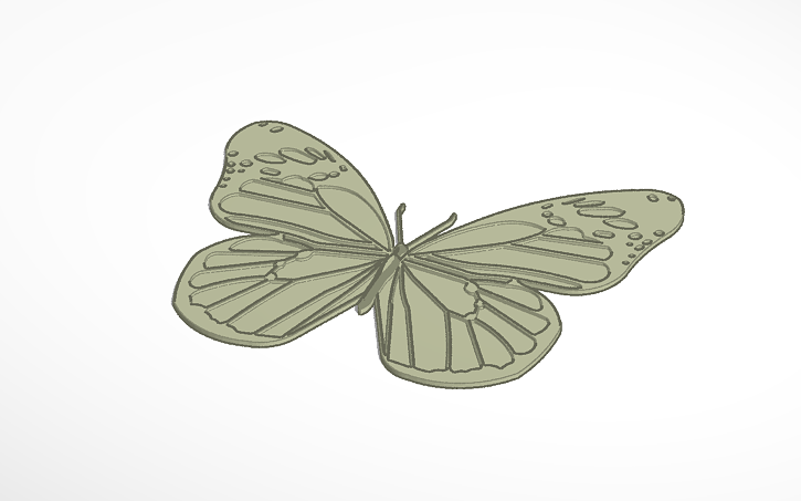 3D design butterfly - Tinkercad
