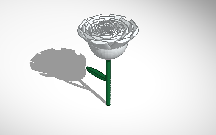 3D design staining rose | Tinkercad