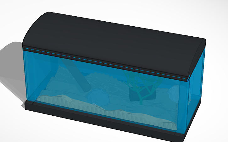 3D design B's aquarium - Tinkercad