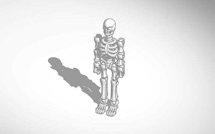 3D design bone~bone - Tinkercad