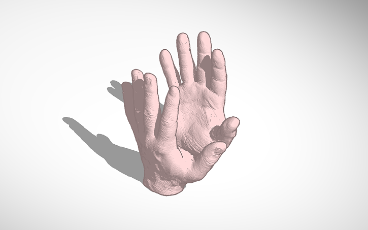 3D design Hands - Tinkercad