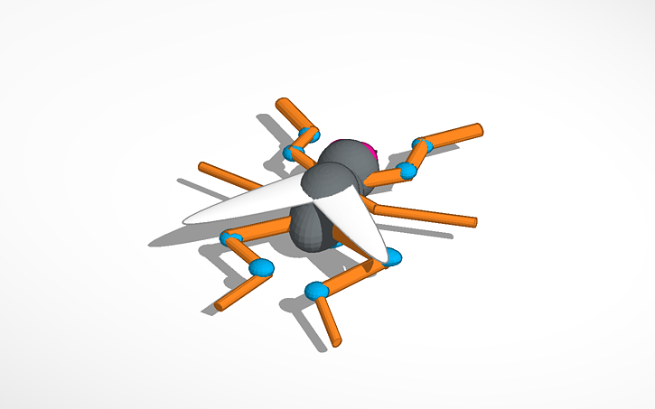 3d Design House Fly Design Tinkercad