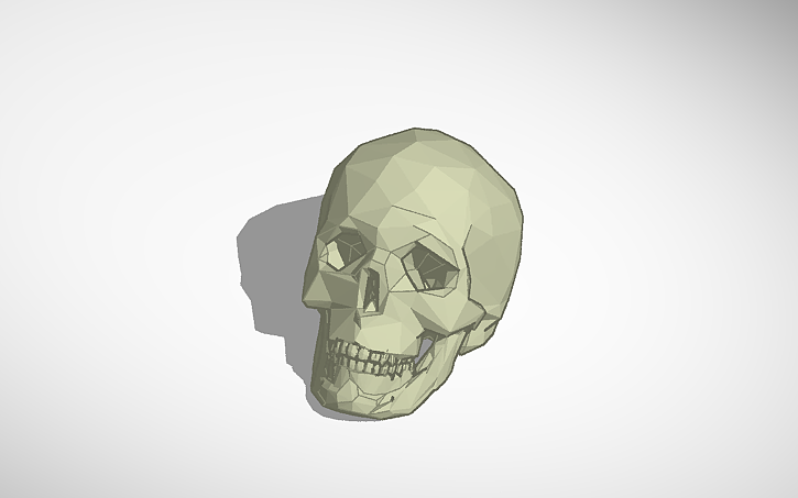 3D design skull - Tinkercad