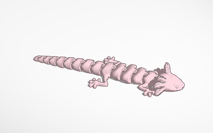 3D design flexi axolotl thingiverse - Tinkercad