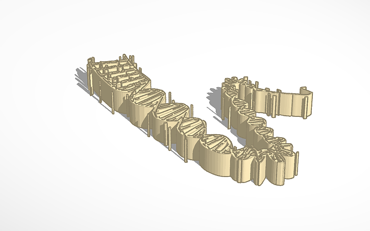 3D design DNA모형 - Tinkercad