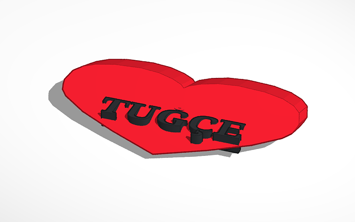 3D design Eylem Nur-Tuğçe Kargıcak Ortaokulu - Tinkercad