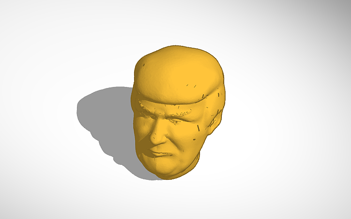 3D design Trump Head - Tinkercad