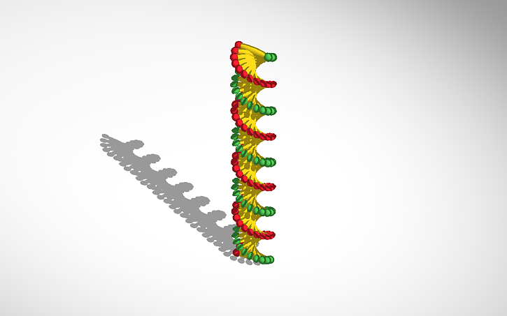3D design DNA - Tinkercad