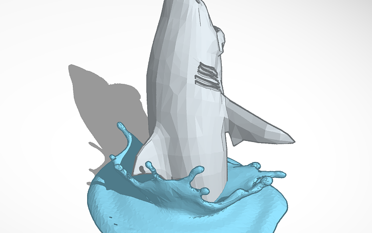 3D design shark - Tinkercad