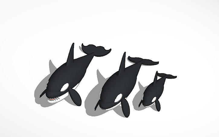 3D design Orca Killer Whales - Tinkercad