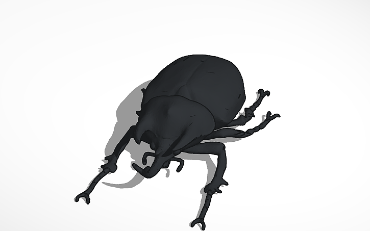3D design Beetle - Tinkercad