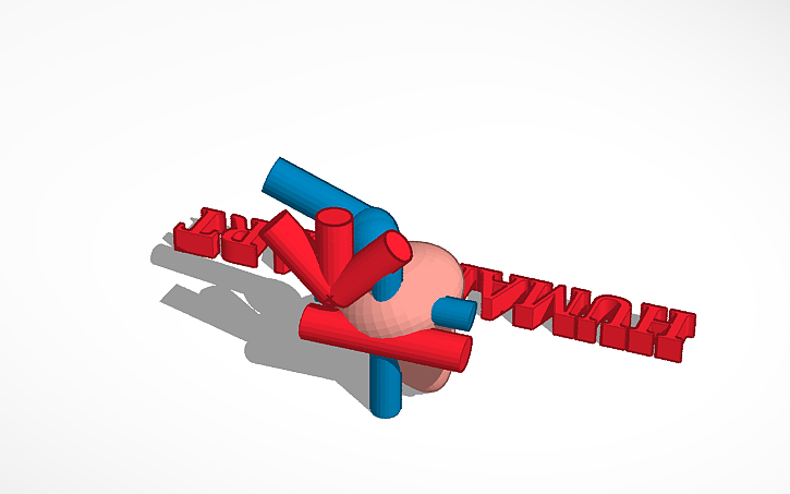 3D design Human Heart! Beep, Beep! - Tinkercad