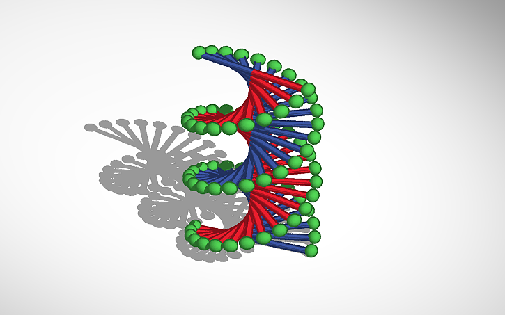 3D design dna modeli | Tinkercad