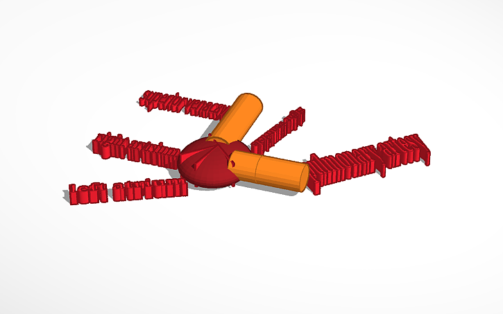 3D design heart - Tinkercad