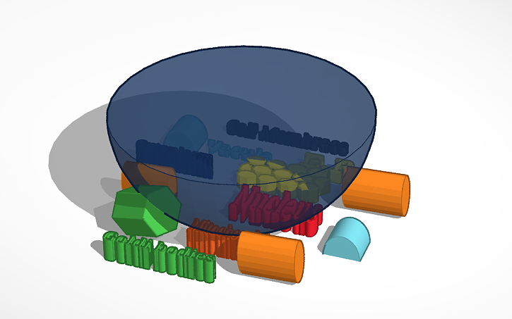 3D design Animal Cell | Tinkercad