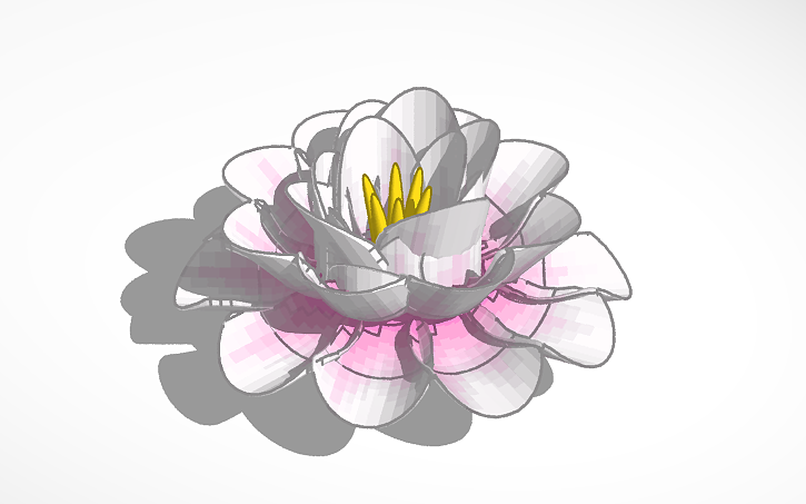 3D design flower - Tinkercad