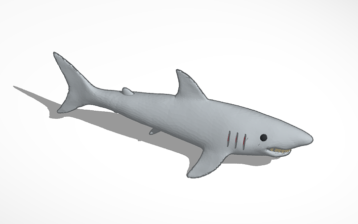 3D design Great White Shark - Tinkercad