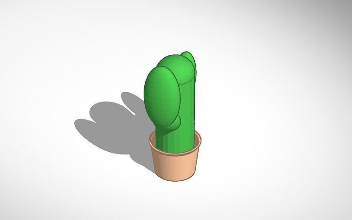 3d Design Cactus Tinkercad