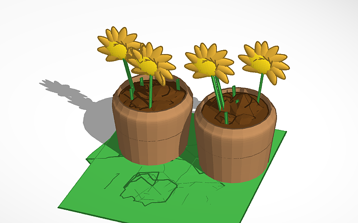 3D design flower pots | Tinkercad