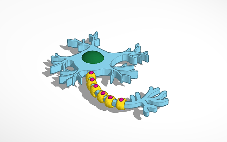 3D design Neurona - Tinkercad