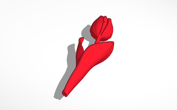 3D design tulip #2 - Tinkercad
