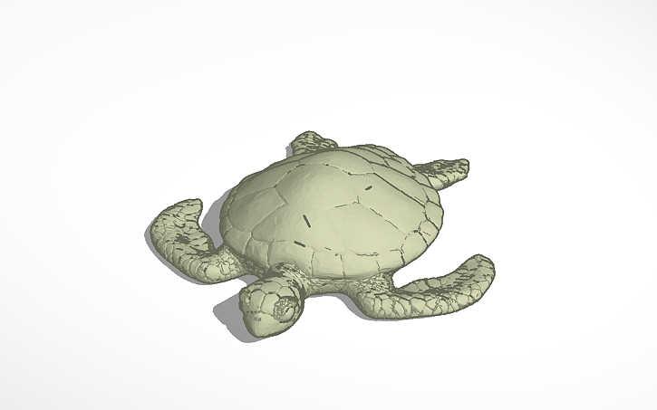 3D design Sea Turtle - Tinkercad