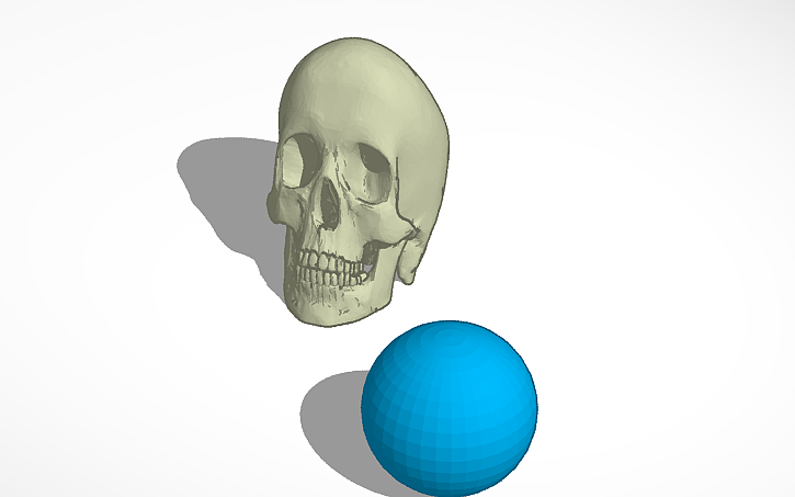 3D design skull - Tinkercad