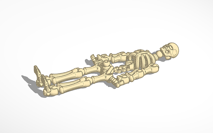 3D design Complete Skeleton - Tinkercad