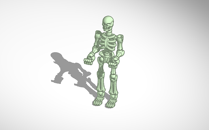 3d Design Spooky Sary Skeleton Tinkercad