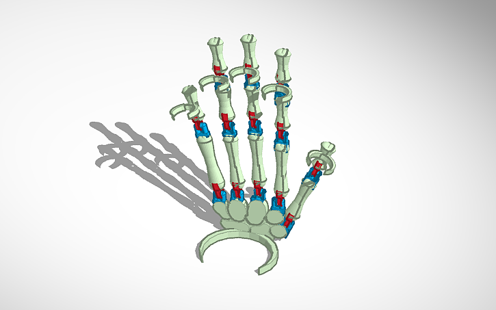 3D design Skeleton Hand. - Tinkercad