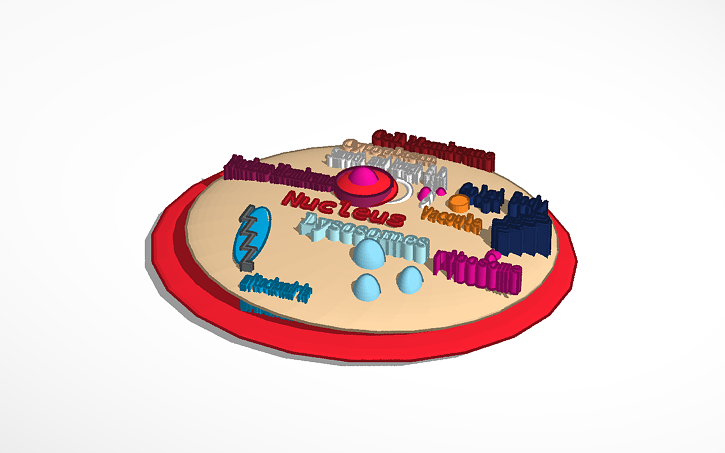 3D design Evelyn Animal Cell - Tinkercad